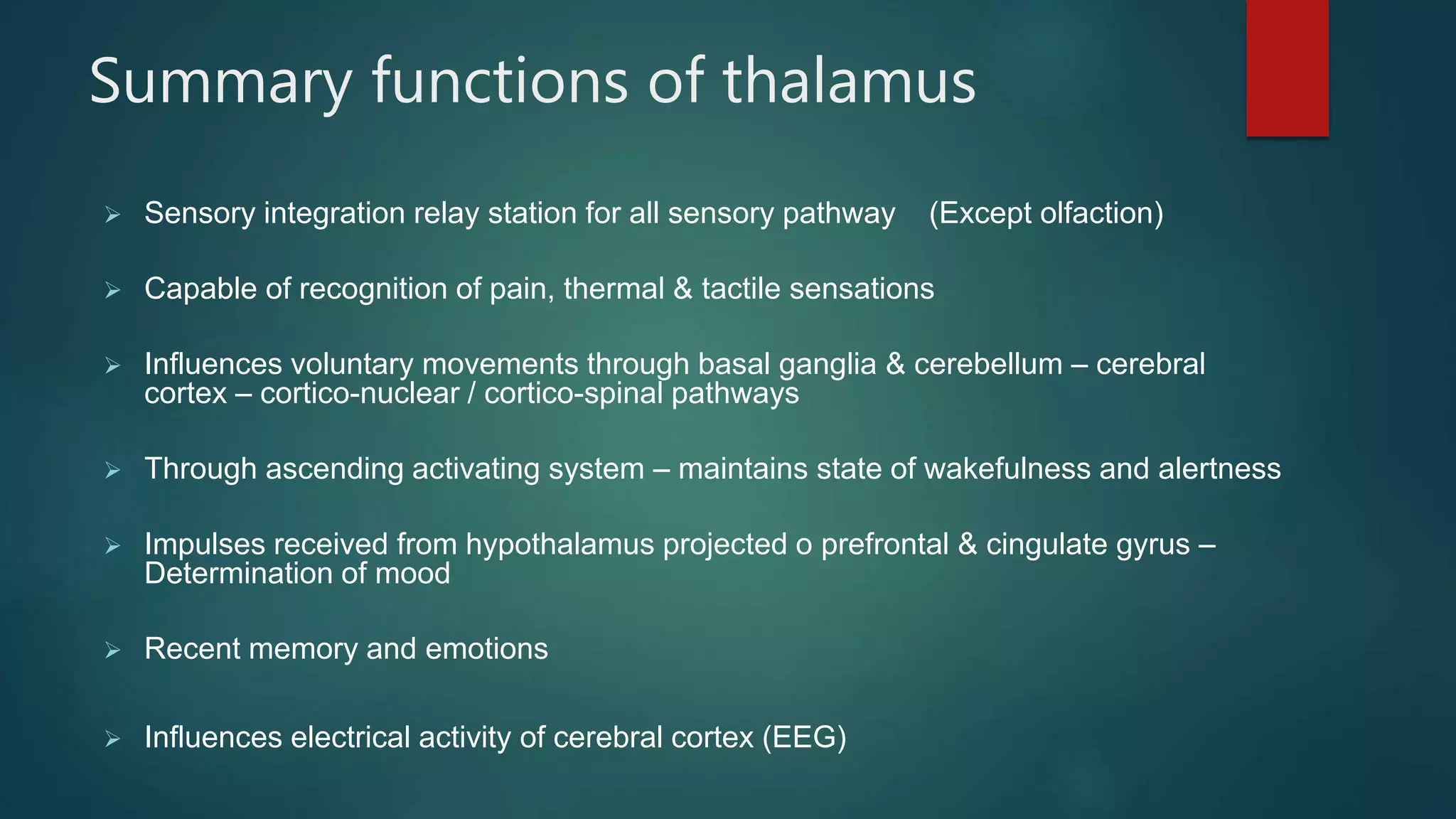 Thalamus ppt | PPTX