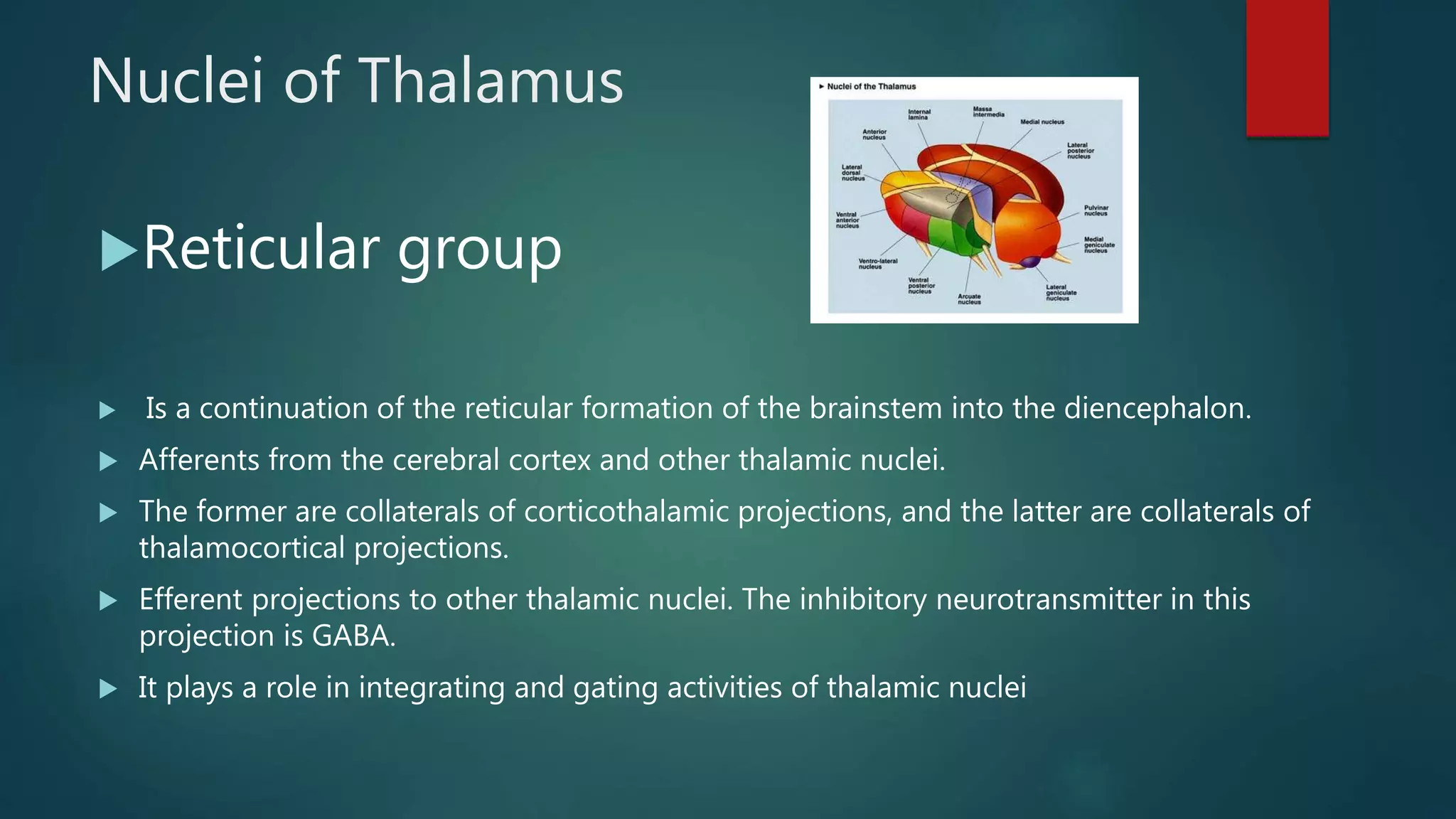 Thalamus ppt | PPTX