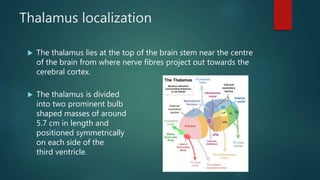 Thalamus ppt | PPTX