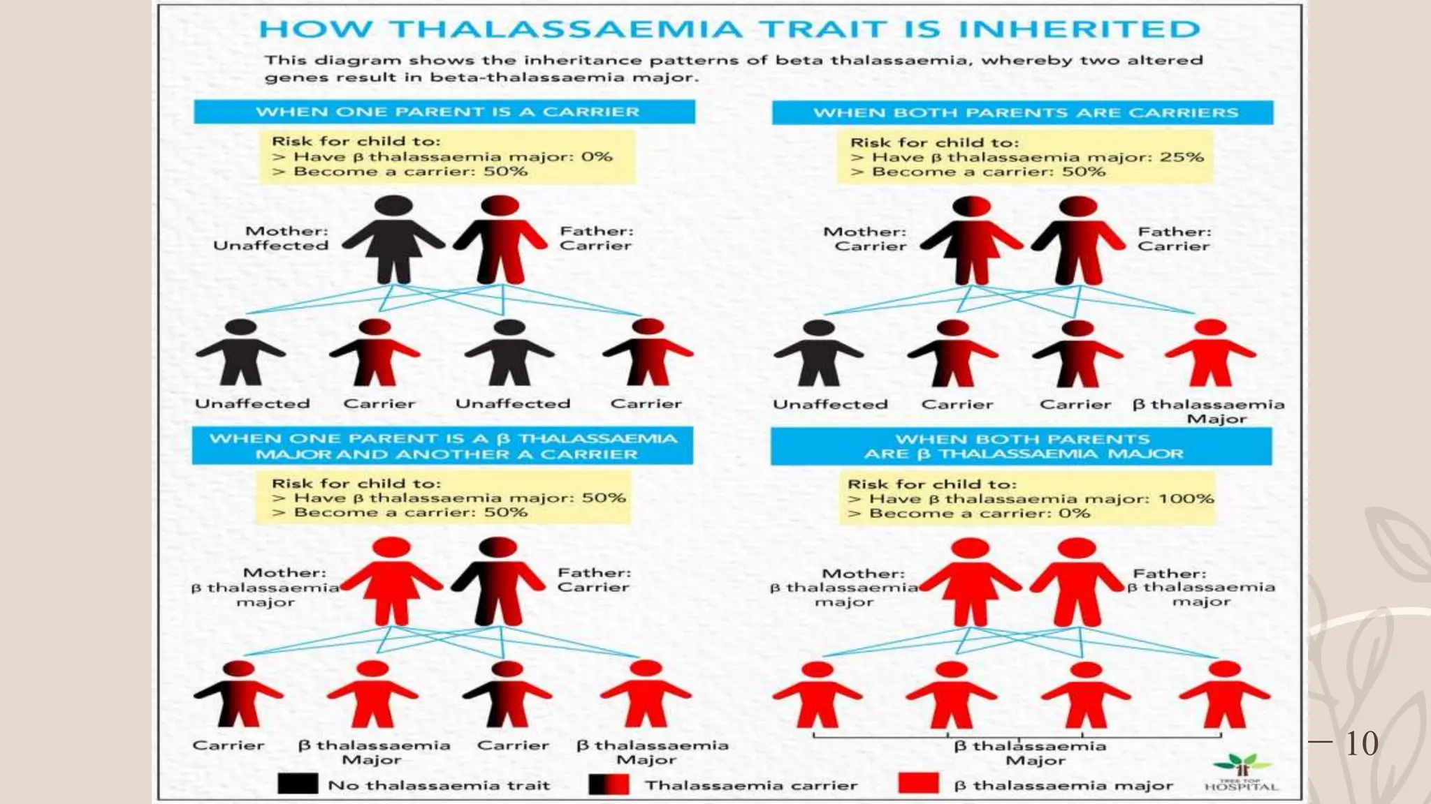 THALASEMIA definition and pathophysiologyd].pptx