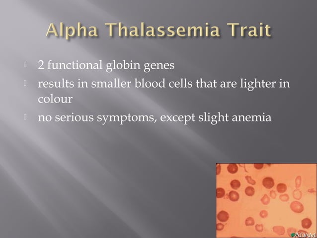 Thalassemia alpha and beta | PPT | Blood Disorders | Diseases and ...