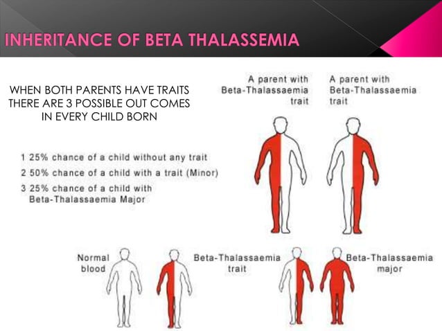 Thalassemia, blood,disorder,hemoglobin,red .cells | PPTX