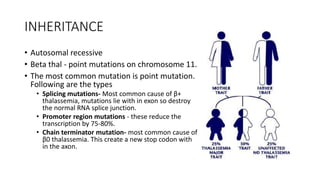 Thalassemia | PPTX