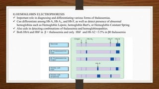 Thalassemia | PPTX | Blood Disorders | Diseases and Conditions