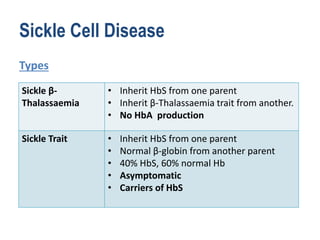 Thalassemia | PPTX