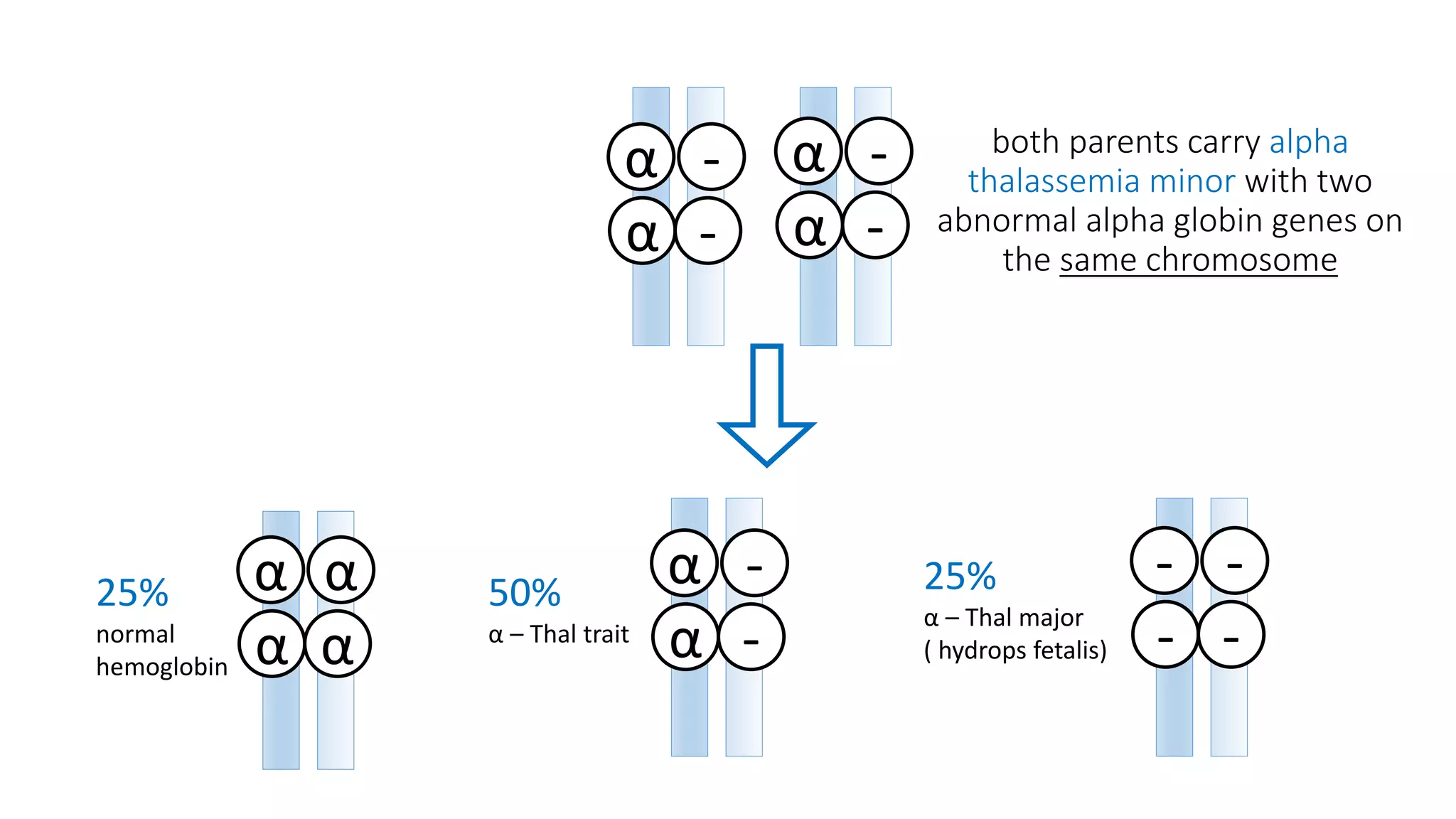 Thalassemia | PPTX