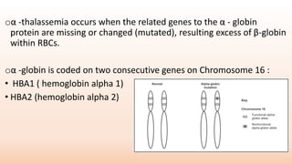 Thalassemia | PPTX
