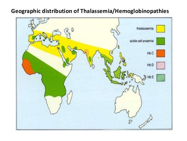Thalassemia