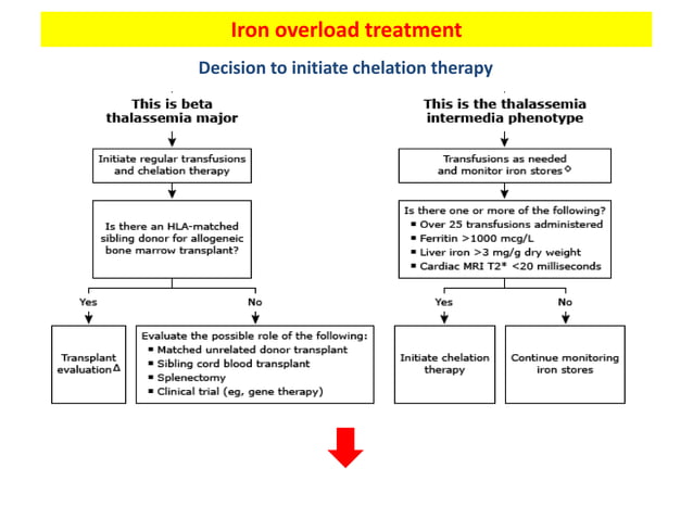 Thalassemia | PPT