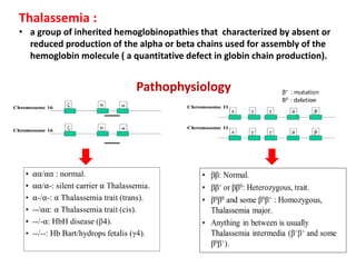Thalassemia | PPTX