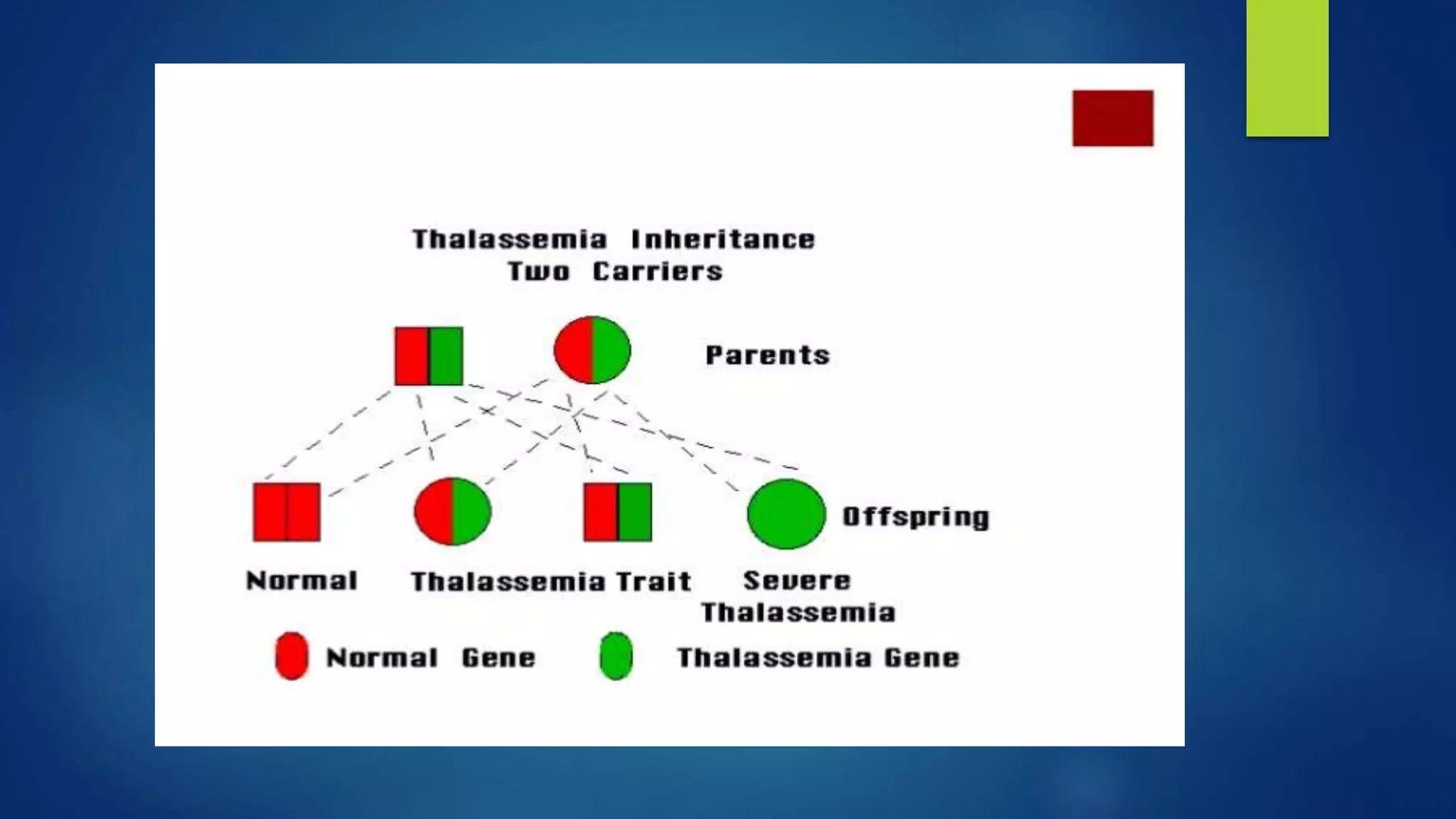 Beta Thalassemia Overview | PPT