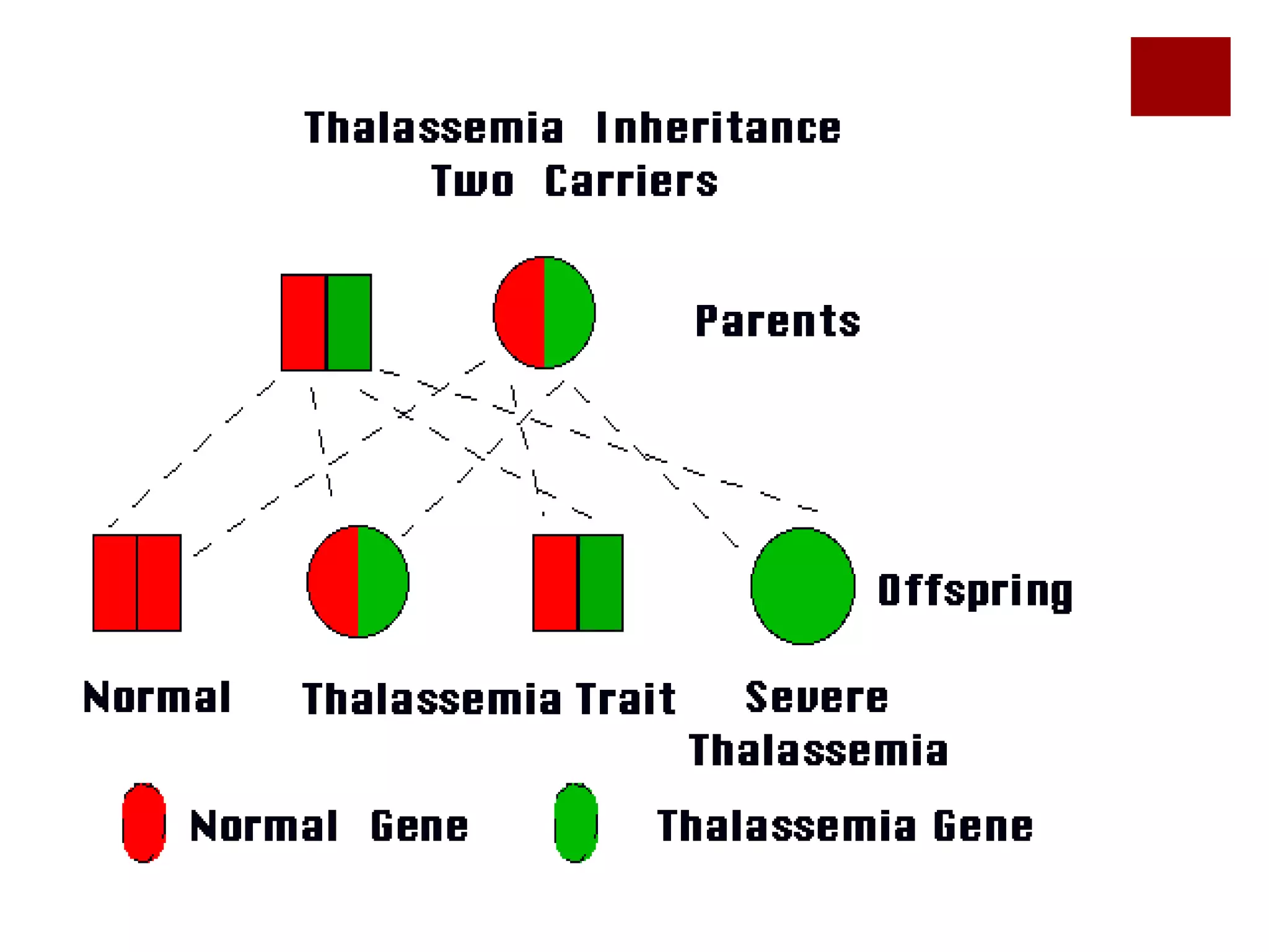 Thalassemia | PPTX