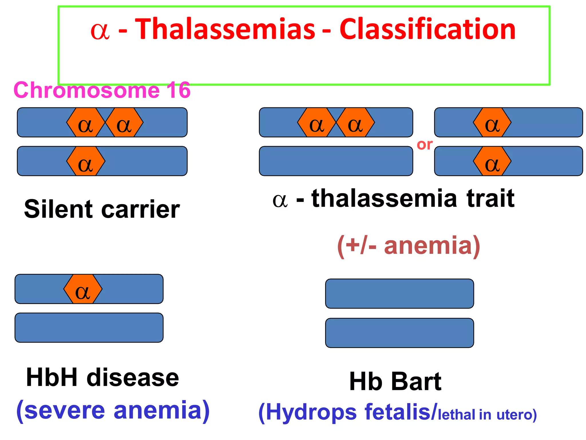 THALASSEMIA.pptx