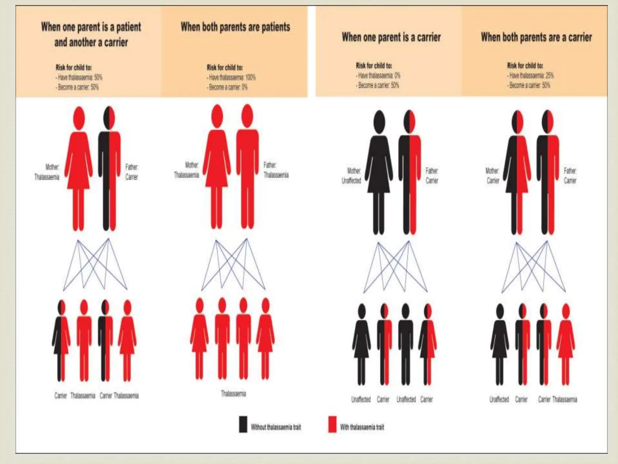 THALASSEMIA.pptx