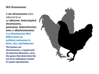 Description of Beta thalassemia its cause and management. | PPTX