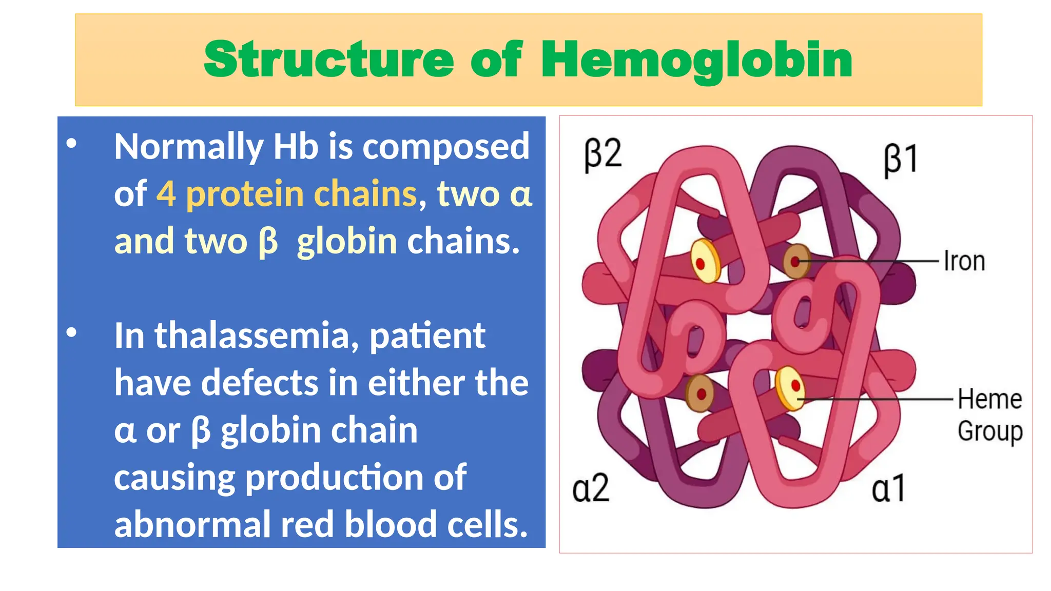 Pathophysiology B pharm sem 2 THALASSEMIA.pptx
