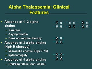 medicaldump.com | Blood Disorders | Diseases and Conditions