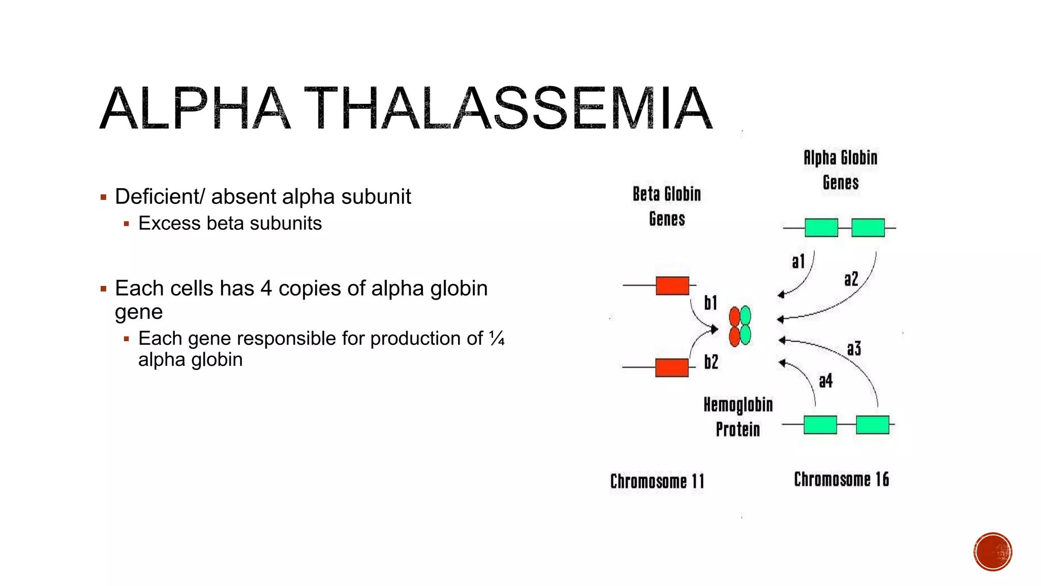 Thalassemia (1).pptx
