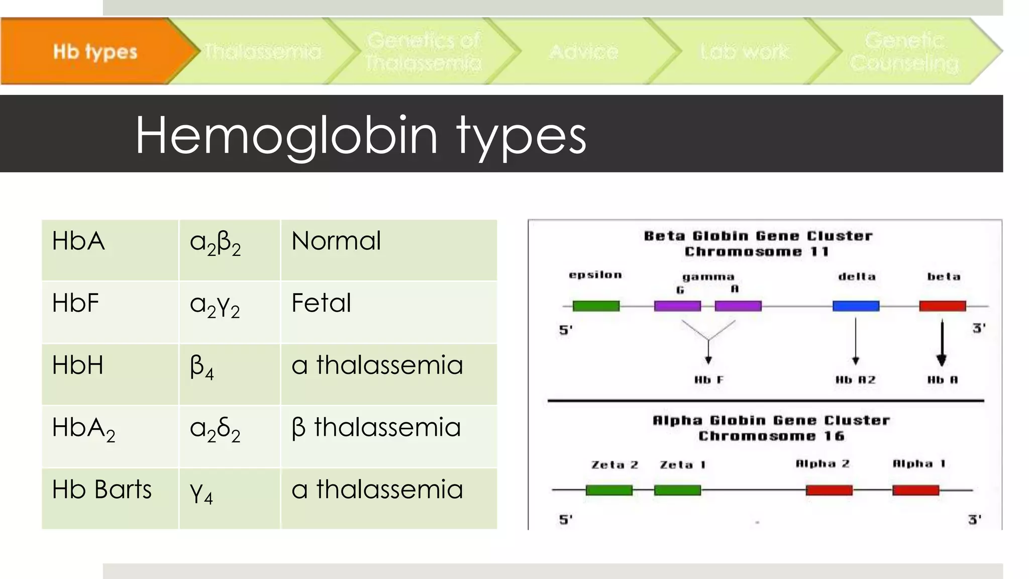 Genetics of Thalassemia | PPTX