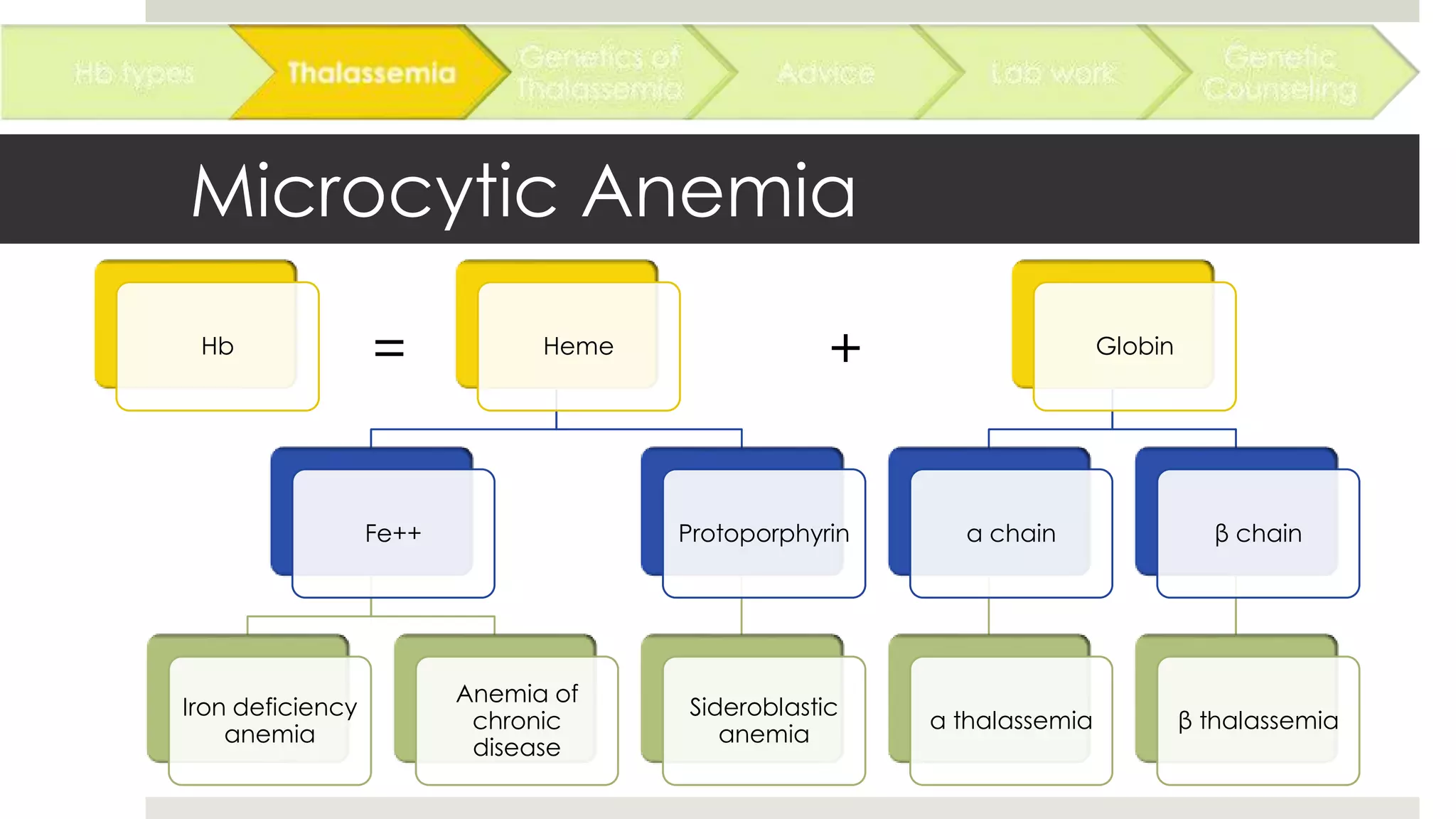 Genetics of Thalassemia | PPTX