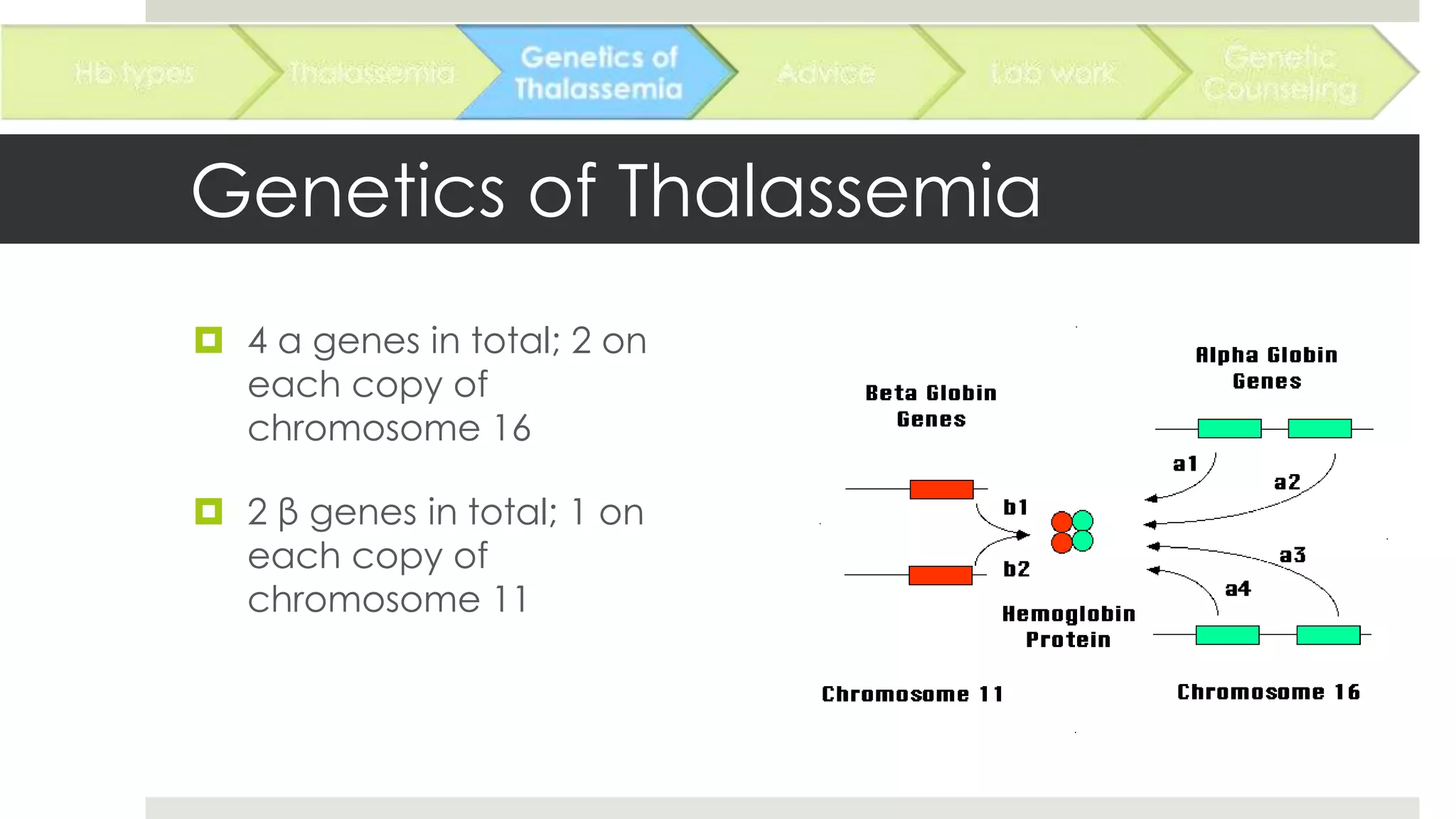 Genetics of Thalassemia | PPTX
