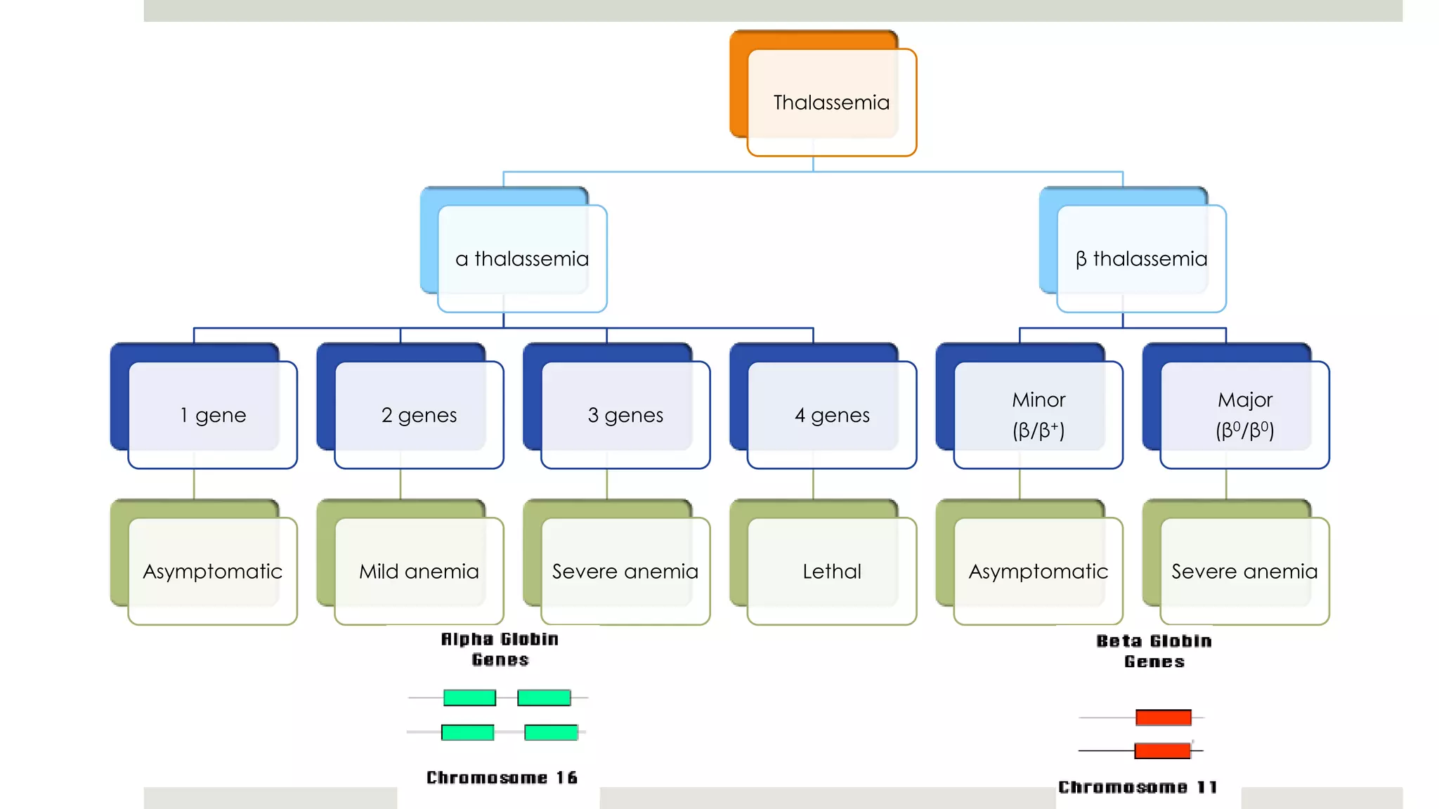 Genetics of Thalassemia | PPTX