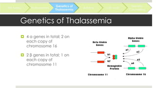 Genetics of Thalassemia | PPTX