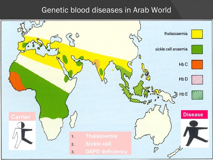 Thalassemia demographics statistics
