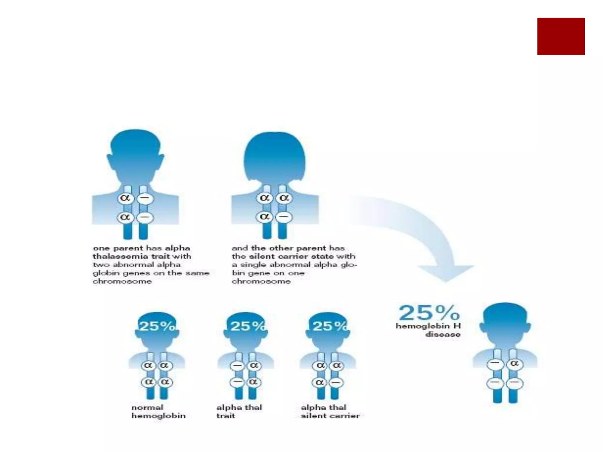 Thalassemia | PPTX