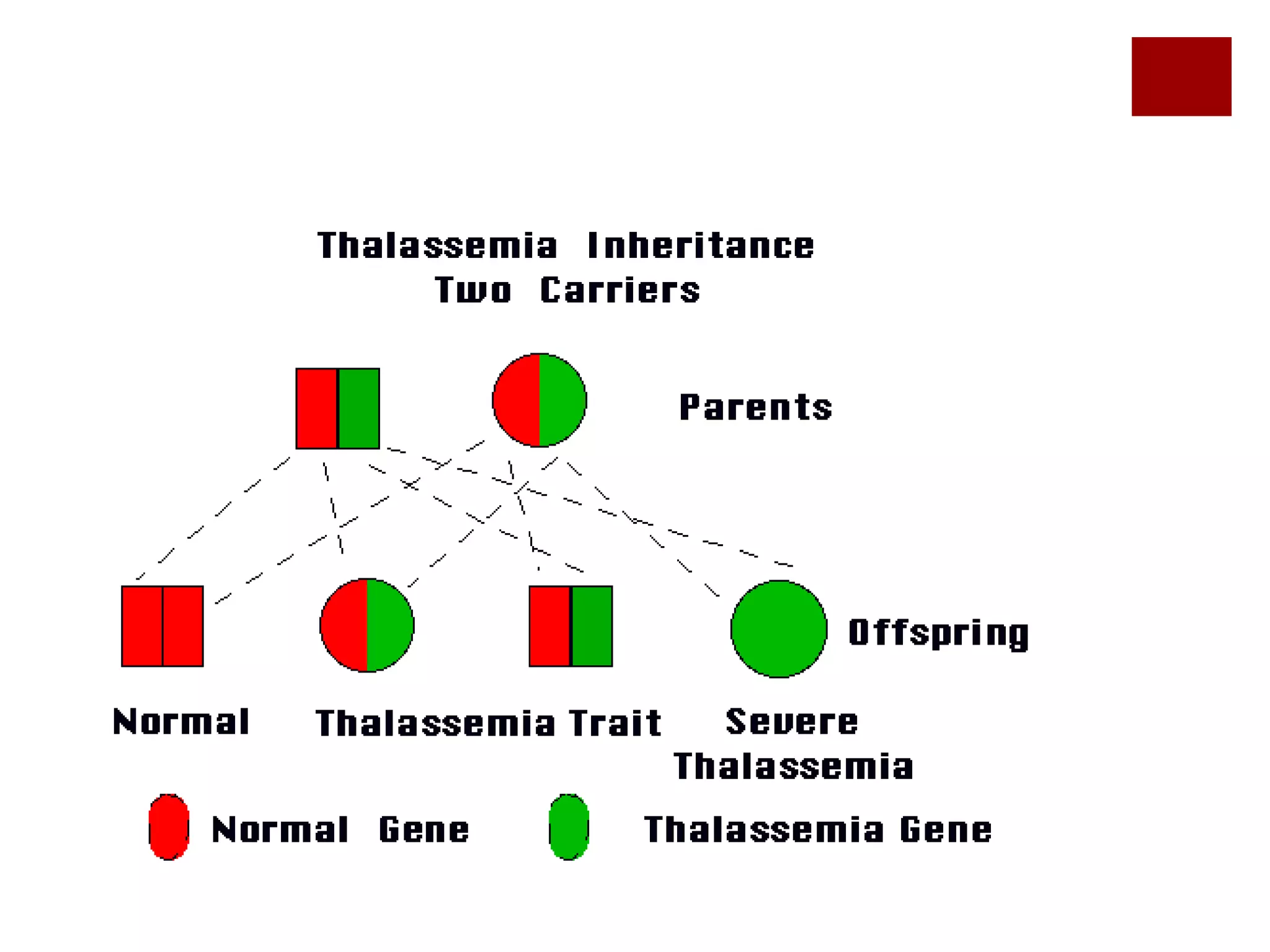 Thalassemia | PPTX