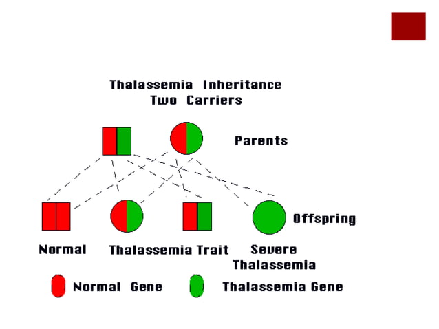 Thalassemia | PPTX | Pregnancy | Reproductive Health