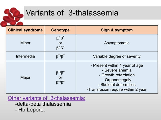Thalassemia | PPTX | Blood Disorders | Diseases and Conditions