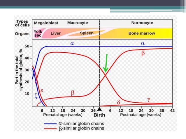Hemoglobinopathy( thalassemia), blood disorders | PPT
