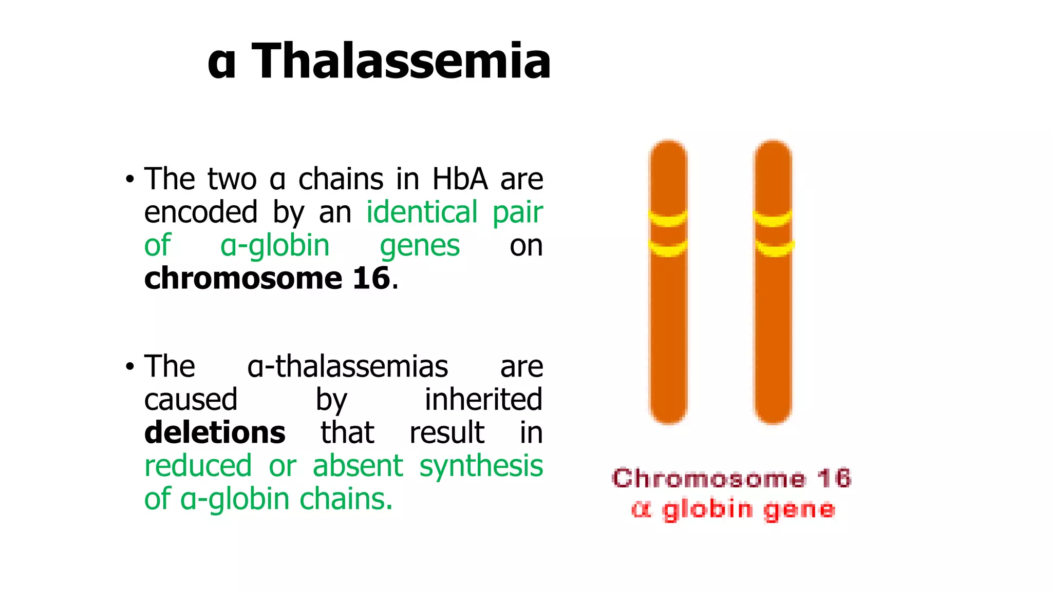 seminar on Thalassemia | PPTX