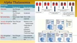 Thalassemia sanjay.pptx