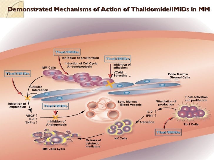 Thalidomide & its derivatives by Dr. Harmanjit Singh, Department of P…