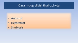 Thallophyta(tumbuhan talus) | PPTX