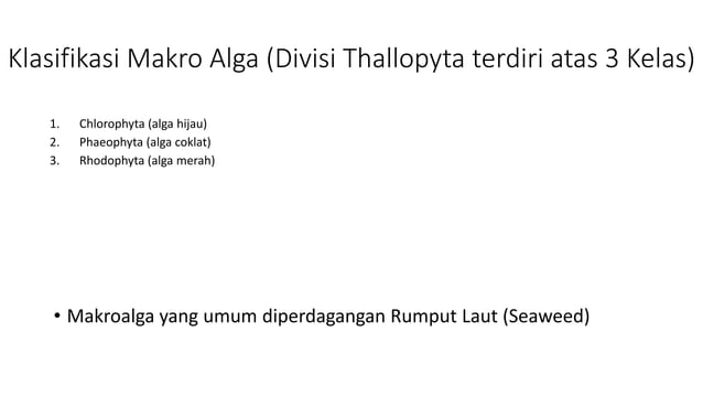 Thallophyta dan Spermatophyta diperairan.pptx