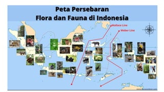 Thallophyta dan Spermatophyta diperairan.pptx