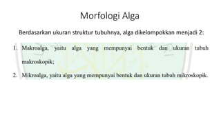 Thallophyta dan Spermatophyta diperairan.pptx