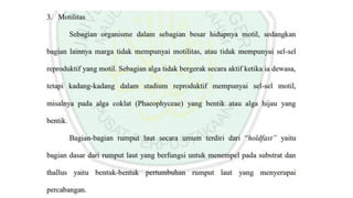 Thallophyta dan Spermatophyta diperairan.pptx