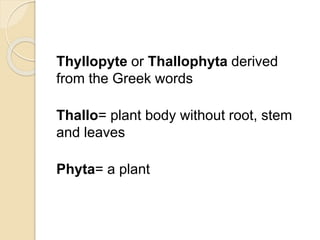 Thallopyte | PPTX