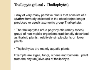 Thallopyte | PPTX