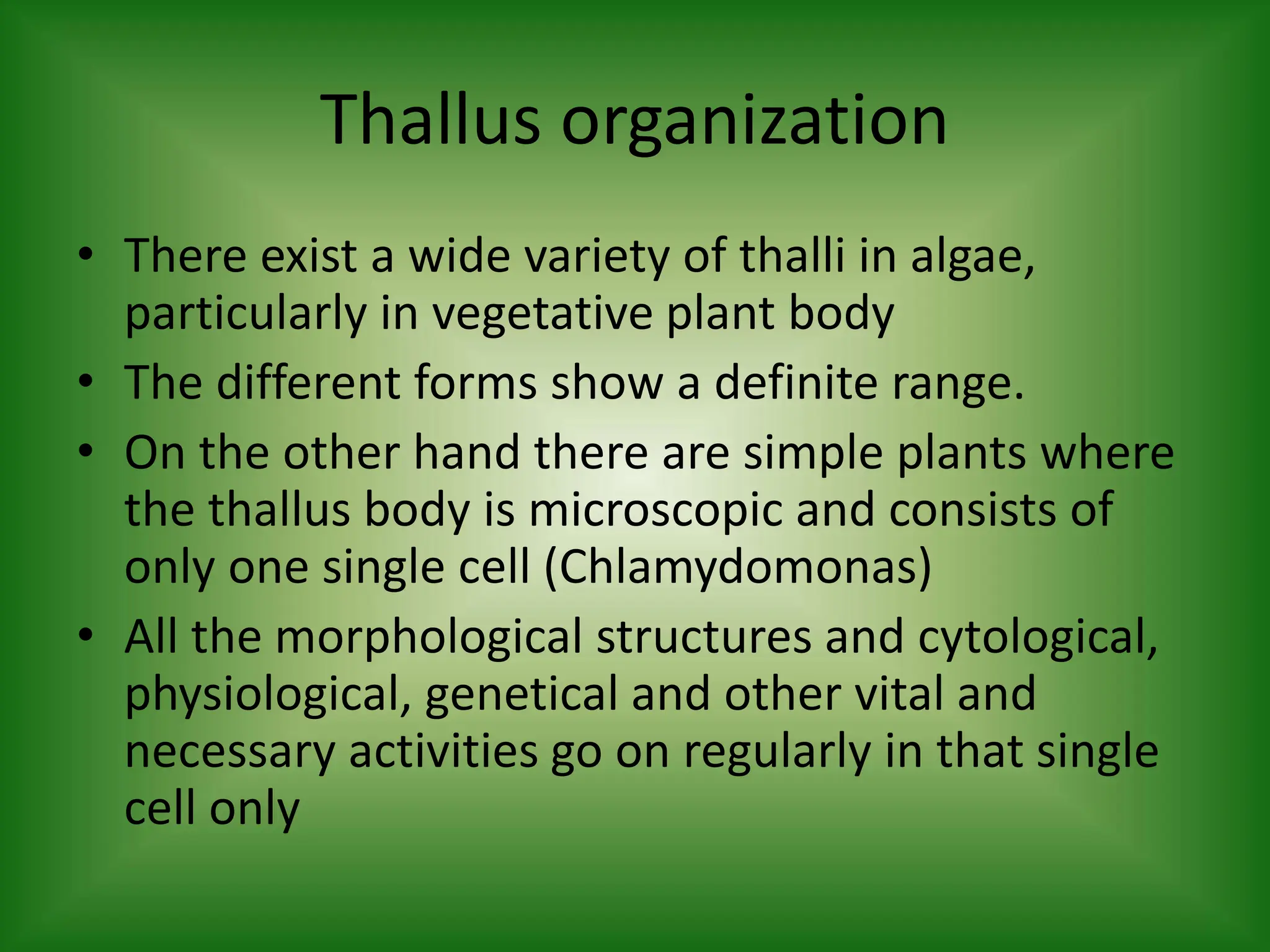 THALLUS ORGANISATION OF CHLOROPHYCEAE.pptx