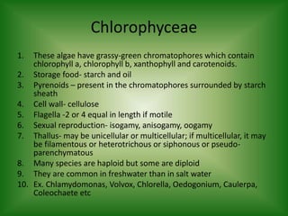 THALLUS ORGANISATION OF CHLOROPHYCEAE.pptx
