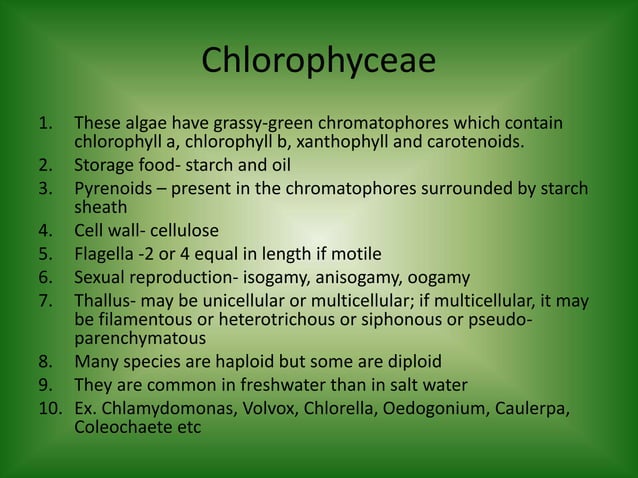 THALLUS ORGANISATION OF CHLOROPHYCEAE.pptx | Reproductive Health ...