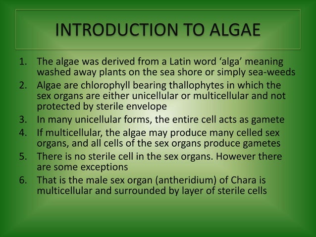THALLUS ORGANISATION OF CHLOROPHYCEAE.pptx | Reproductive Health ...