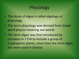THALLUS ORGANISATION OF CHLOROPHYCEAE.pptx