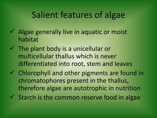 THALLUS ORGANISATION OF CHLOROPHYCEAE.pptx