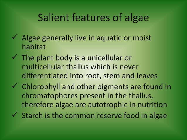 THALLUS ORGANISATION OF CHLOROPHYCEAE.pptx | Reproductive Health ...